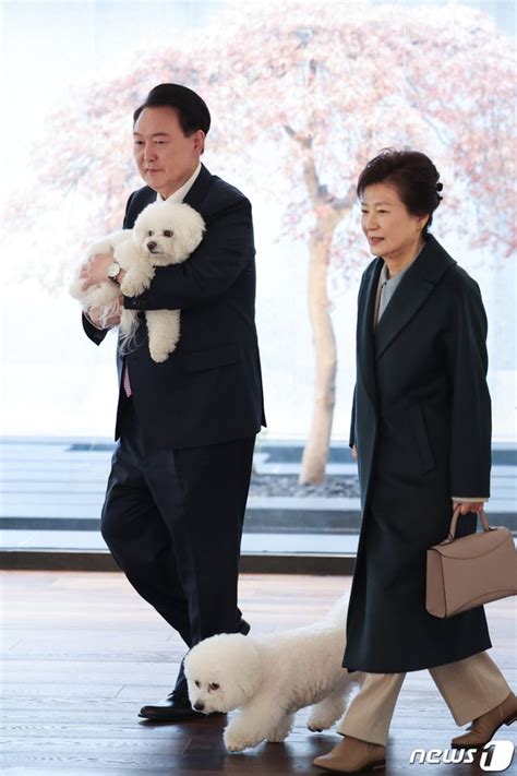 윤석열 20대 대통령 포토슬라이드 네이트 뉴스