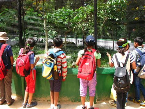 Field Trips And Class Excursions Poorna Learning Centre