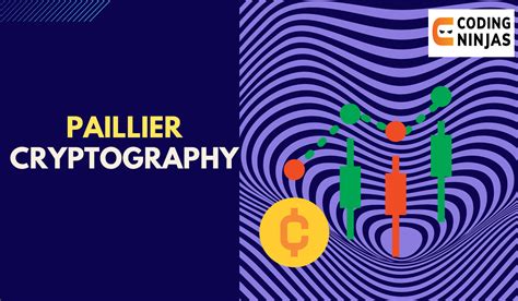 The Paillier Cryptosystem Naukri Code