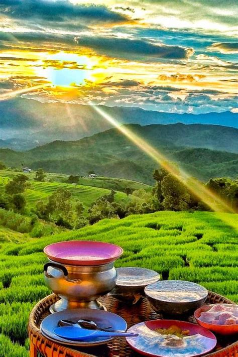 2 Days 1 Night Baan Pa Pong Piang And Doi Inthanon Travel Buddies