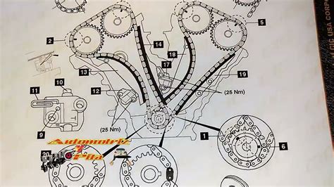 Diagrama De Cadena De Tiempo De Motor 24 Ecotec Top 47 Ima