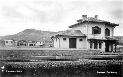 Лясковец За общината Статии