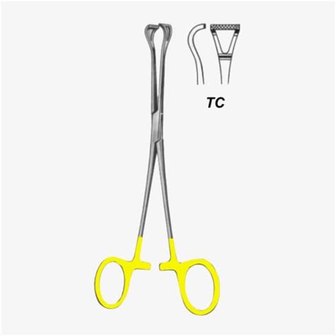 Babcock Tissue Forceps Bj Al Zahrawi Surgical