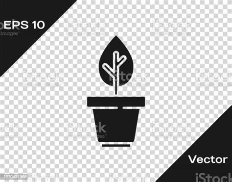 黑色植物在鍋圖標隔離在透明背景植物生長在鍋里盆栽植物標誌向量向量圖形及更多一個物體圖片 一個物體 交通工具內部 剪裁圖 Istock
