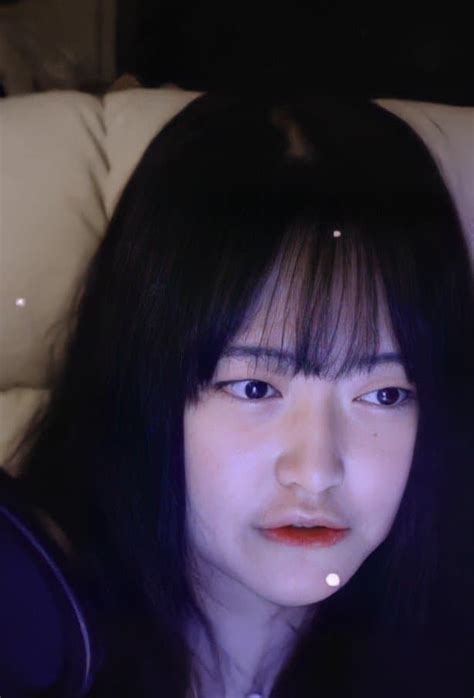 이세돌 빨간약 모음 스트리머 갤러리