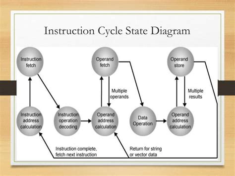 Lecture004basicsofthedprocessor 1pptx Programming Languages