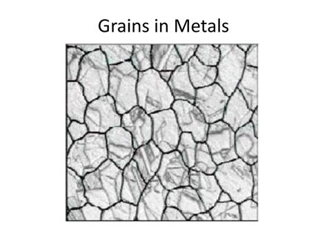 Grains In Metals Ppt Download