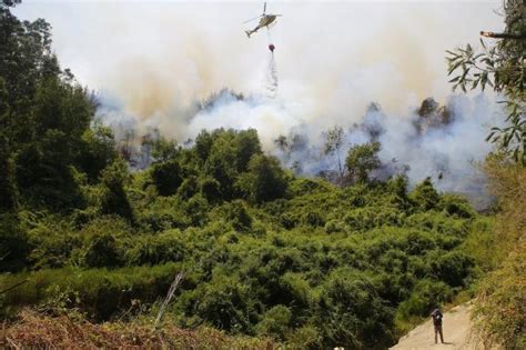 Onemi Declara Alerta Roja Para Comunas De Hualqui Y Santa Juana