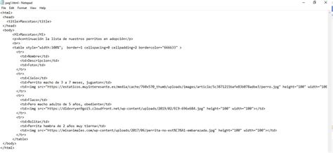 Como Programar HTML Como crear página WEB HTML para principiantes