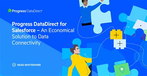 Progress Datadirect For Salesforce
