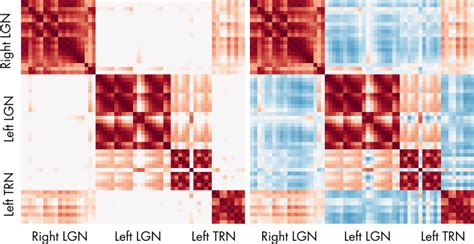 Plotting Networks Using Python And Gephi • Tigrlab