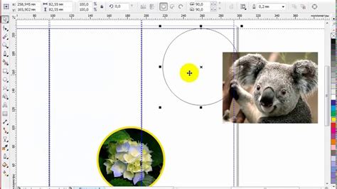 Coreldraw Уроки для начинающих Простой буклет Youtube