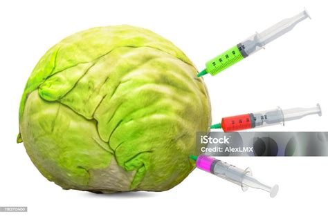 화학 물질이 가득한 주사기가있는 양배추 유전자 식품 수정 개념 흰색 배경에서 격리된 3d 렌더링 0명에 대한 스톡 사진 및 기타 이미지 Istock