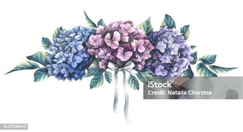 수국 꽃은 분홍색 파란색 및 라일락이며 녹색 잎과 회색 새틴 활이 있습니다 수채화 그림입니다 웨딩 꽃 컬렉션의 구성 장식과 디자인을 위해 개화기에 대한 스톡 벡터 아트 및