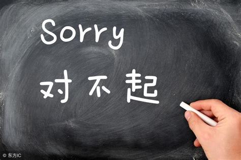 别人说“对不起”，这样回复 知乎
