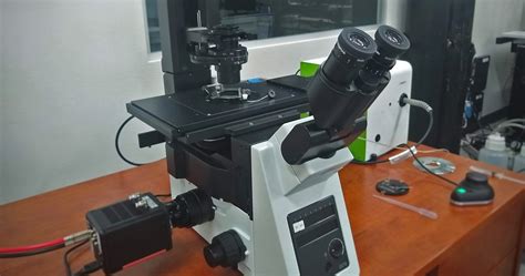 Calcium Imaging Neuroservice