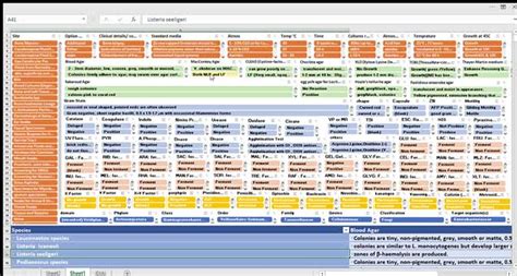 How To Identify Pathogenic Bacteria In Excel Mahmoud Dawoud Posted On
