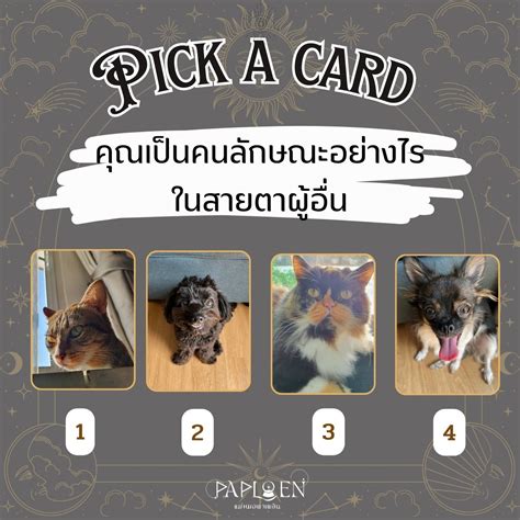 Pickacard คุณเป็นคนลักษณะอย่างไร ในสายตาผู้อื่น ทำสมาธิให้ดี