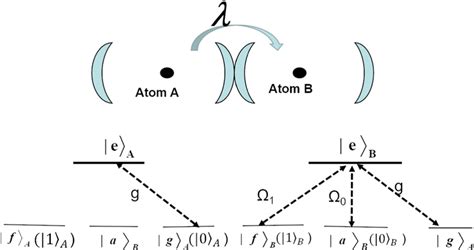 Atomic Level Configuration For One Step Implementation Of A Cnot Gate Download Scientific