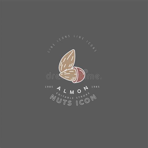 Vector Icon And Logo For Nuts And Seeds Editable Outline Stroke Stock Vector Illustration Of