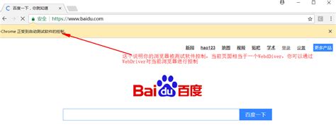 Selenium Chromedriver 月之暗面 博客园