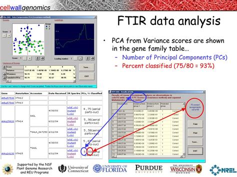 Ppt Ftir Data Analysis Tutorial Powerpoint Presentation Free