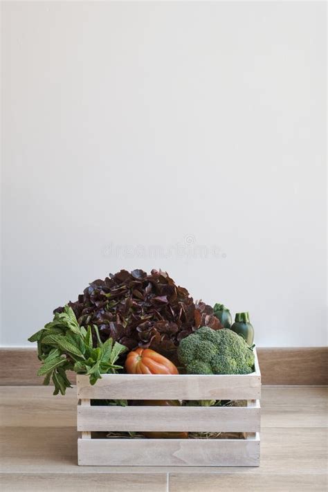 Fresh Vegetables Box Picked In The Garden Stock Image Image Of Picked Vertical 252813595