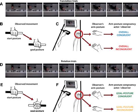 Action Prediction Task A B D E In Each Trial Participants Download Scientific Diagram