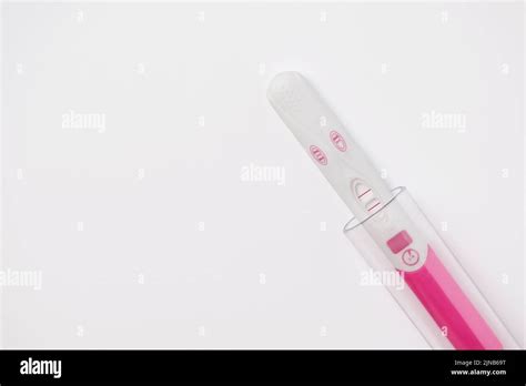 Positive Pregnancy Test With Laboratory Test Tube In Vitro