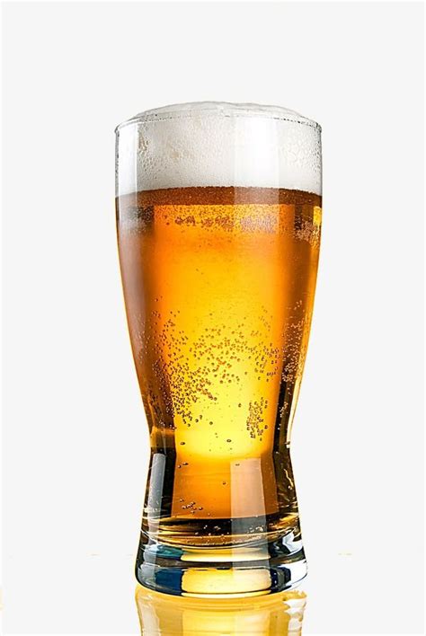 Beers Clipart With No Background 10 Free Cliparts Download Images On