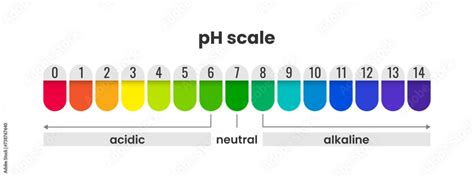 Ph Scale Indicator Color Chart Diagram Acidic Alkaline Measure Litmus