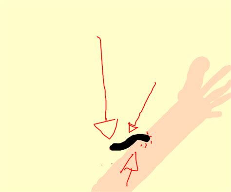 Leech Drawception