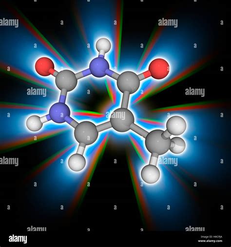 Thymine Numbering