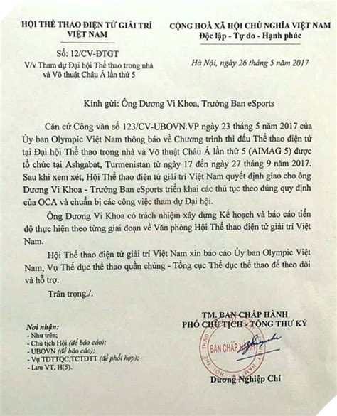 Hội Thể Thao điện Tử Việt Nam Chính Thức Thành Lập đội Tuyển Esport đầu
