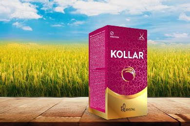 Kollar - CC