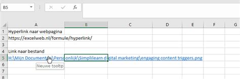 Hyperlink Maken In Excel Naar Webpagina Document Of Blad