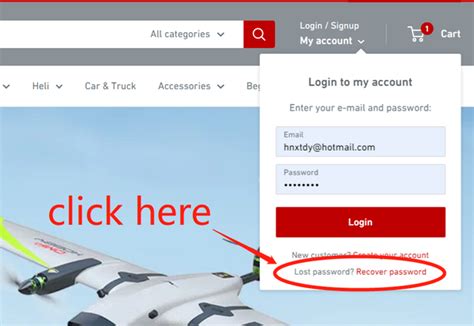 Password Reset Instruction