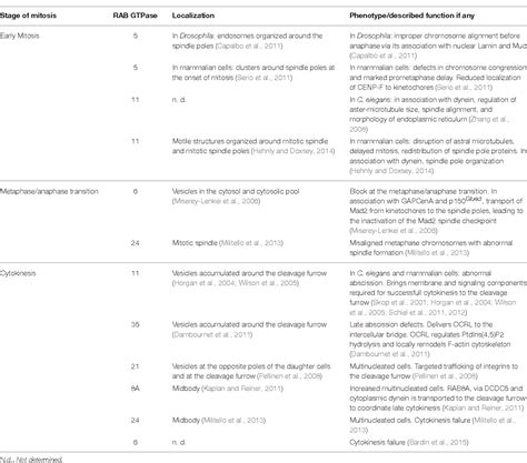 Table 1 From Small Rab Gtpases Regulate Multiple Steps Of Mitosis Semantic Scholar
