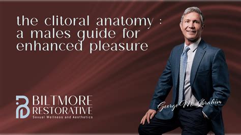 Understanding Clitoral Anatomy A 3d Model Guide For Enhanced Pleasure
