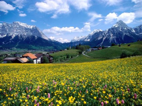 Imágenes De Paisajes De Primavera Fondos De Pantalla