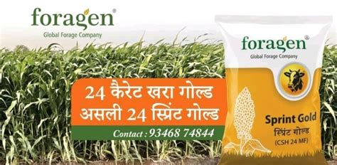 Mohd Jishan On Linkedin Green Heigh More