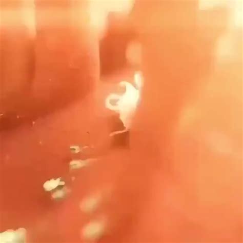 Bill Wright Posted On Linkedin