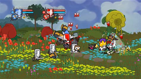 Castle Crashers Remastered Nintendo Switch — The Behemoth Store