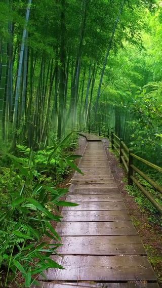 草屋一间 逍遥自在风景手机动态壁纸 风景手机壁纸下载 元气壁纸