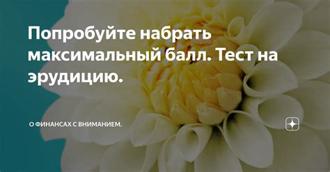 Попробуйте набрать максимальный балл Тест на эрудицию Тестовик тесты с вопросами на разные