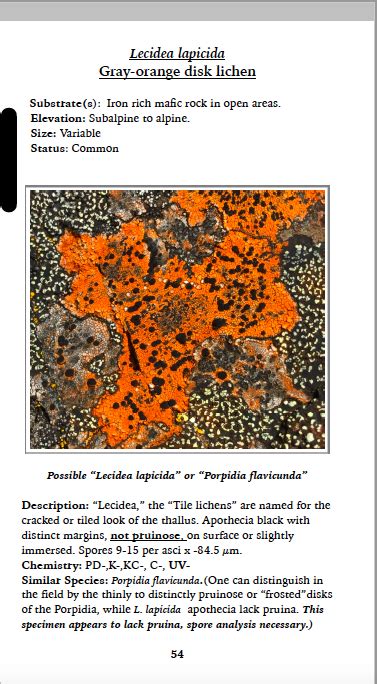 Swi Offers Lichen Identification Workshop Comox Valley Naturecomox