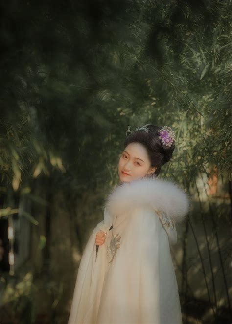 古风写真，有美一人，清扬婉兮。邂逅相遇，适我愿兮
