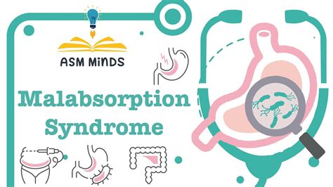 Malabsorption Syndrome By Asm Minds Youtube