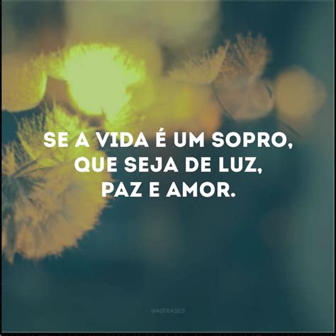 A Vida é Um Sopro Frases Para Viver Intensamente