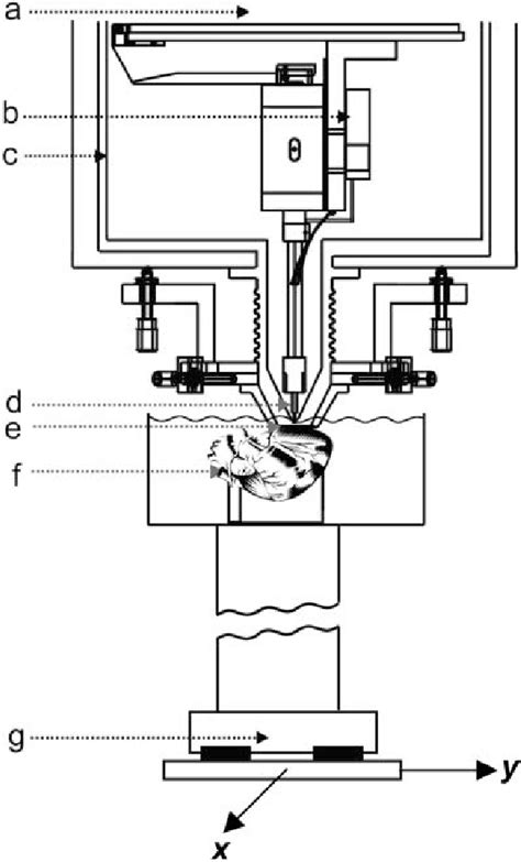 Diagram Of The Scanning Squid Microscope System Showing A Liquid